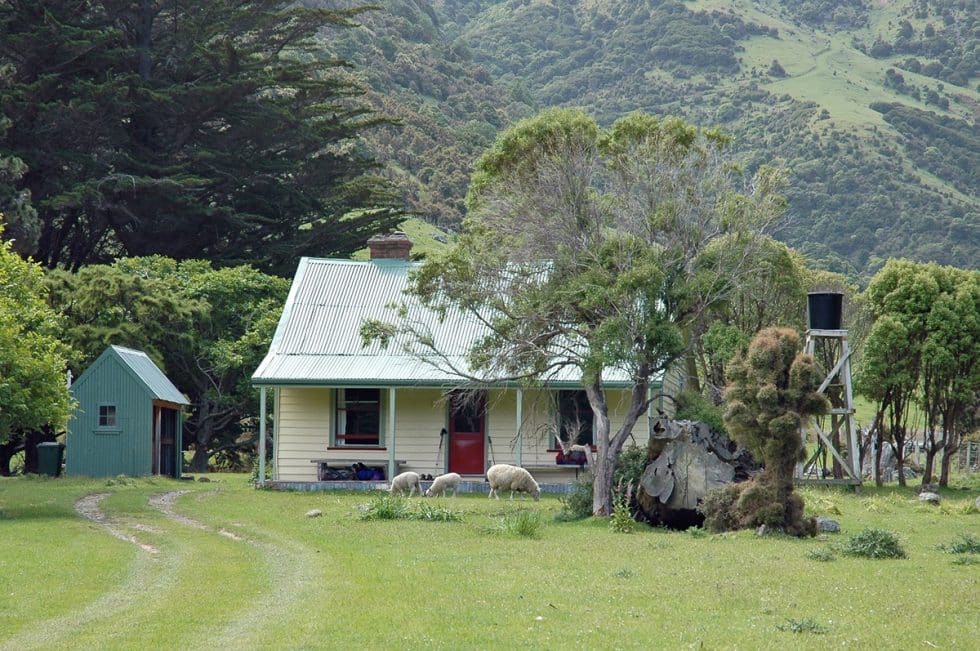 Banks Peninsula Walking Holiday and Hike | Banks Track